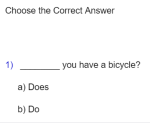 Simple Present Tense Questions Do Does Exercise 5 - Englishpedia.net